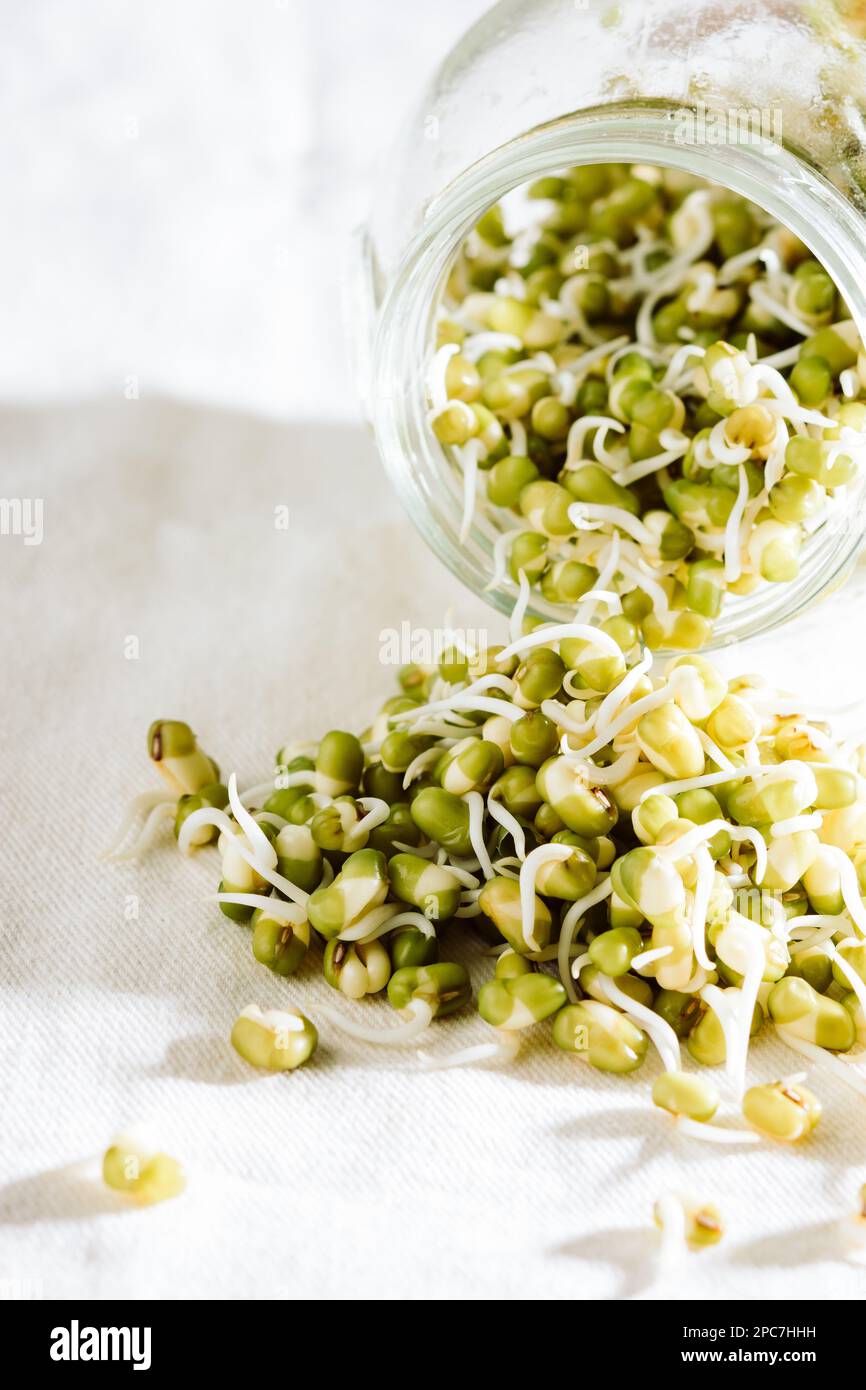 Bean salad with fresh greens hi-res stock photography and images - Alamy