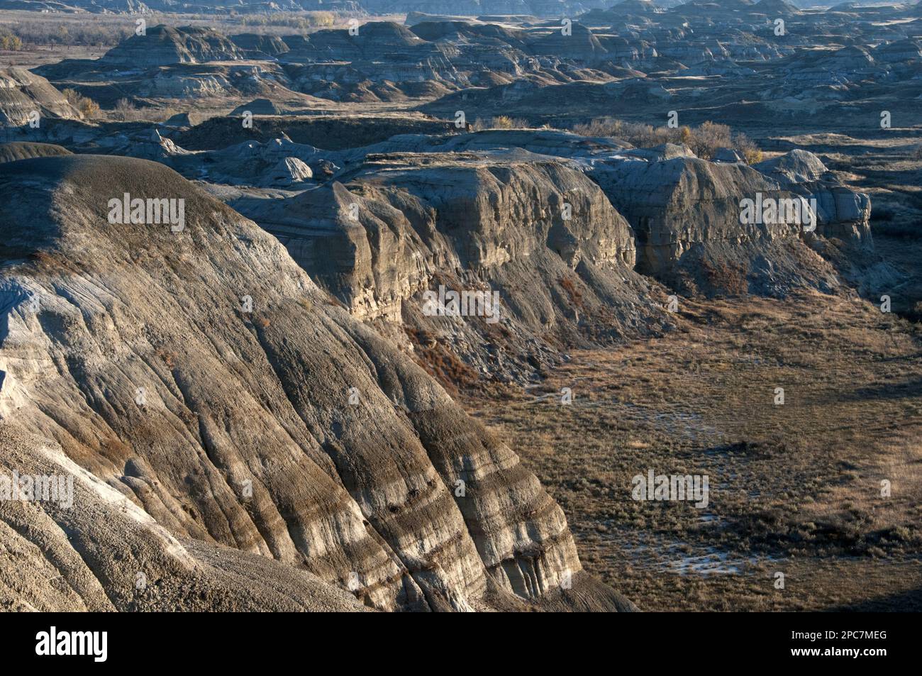 View of badlands habitat, Dinosaur Provincial Park, Alberta, Canada ...