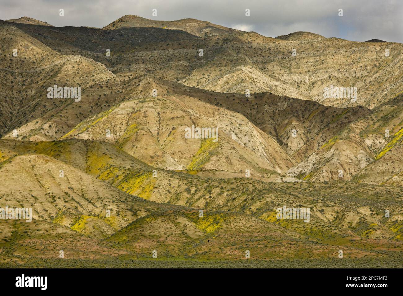 Temblor range hi-res stock photography and images - Alamy