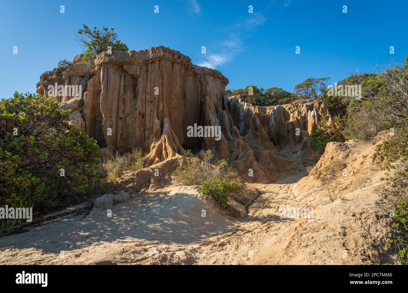 Cali fauna hi-res stock photography and images - Alamy