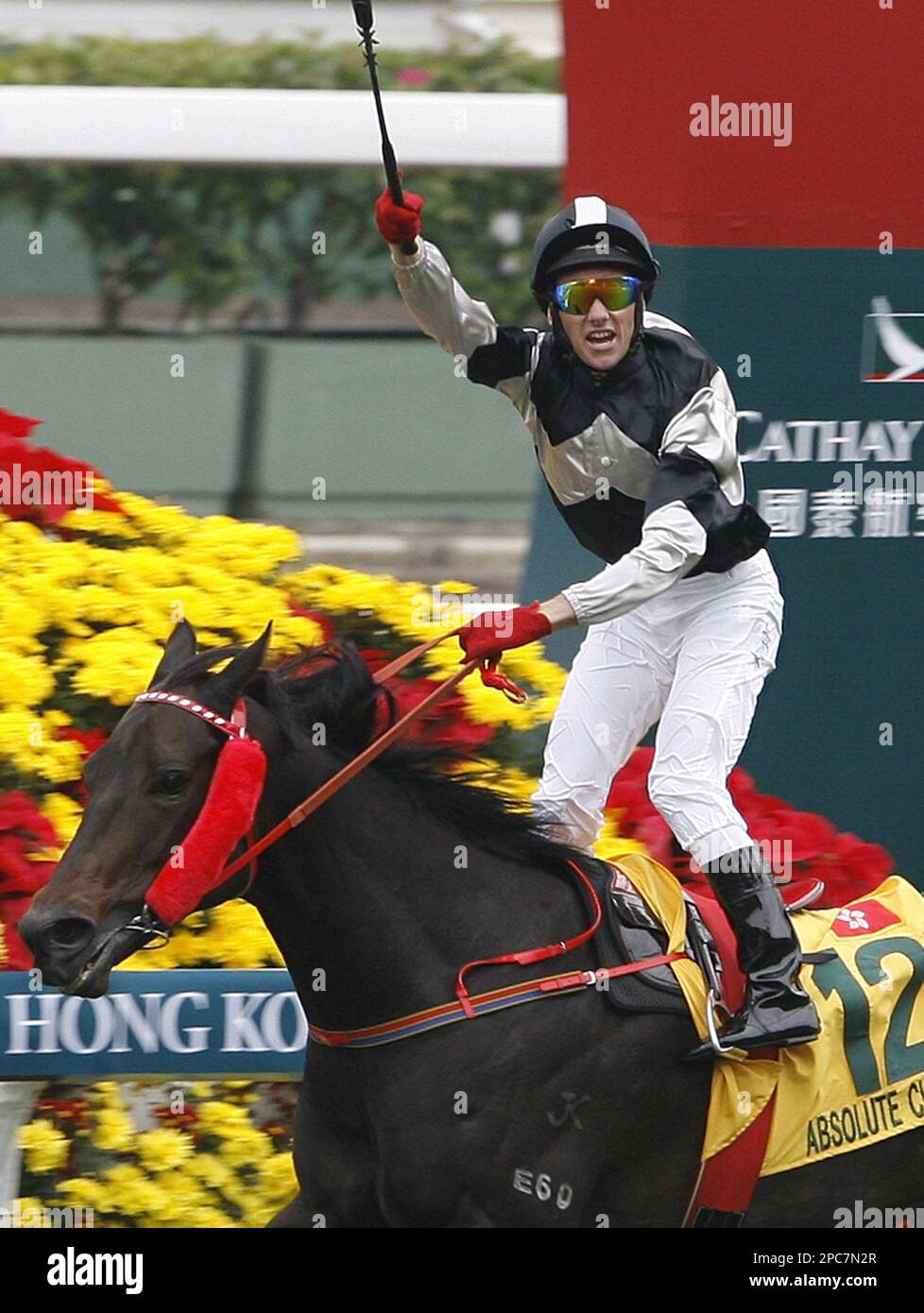 Jockey Brett Prebble celebrates abord Hong Kong horse Absolute Champion ... Jockey Brett Prebble celebrates abord Hong Kong horse Absolute Champion ...