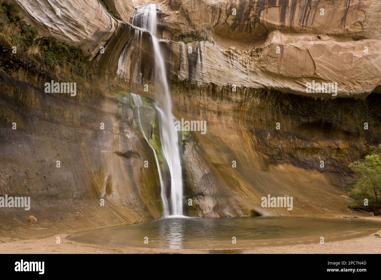 Waterfall cascading over navajo sandstone, Lower Calf Creek Falls, Calf ...