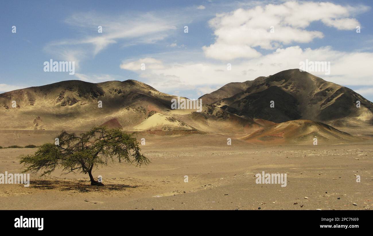 Coastal Desert Habitat View, Nazca Desert, Nazca, Peru Stock Photo - Alamy