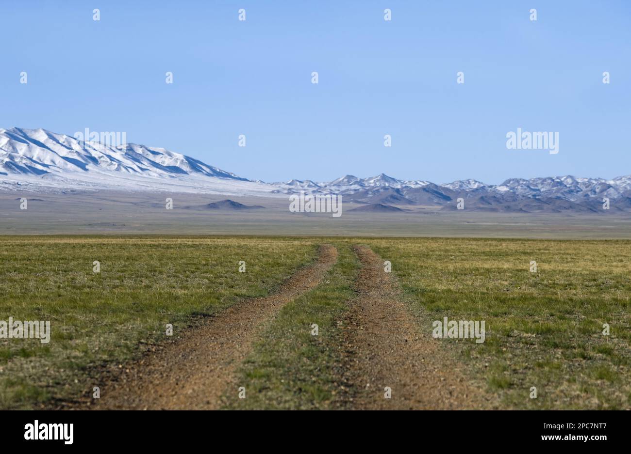 View of dirt road over steppe-grassland habitat, Altai Mountains in the ...