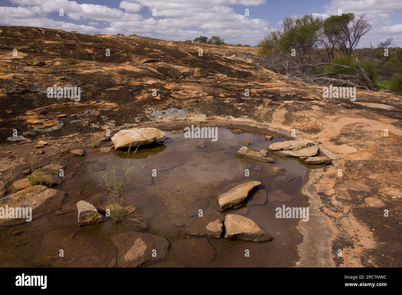 Desert soak australia hi-res stock photography and images - Alamy