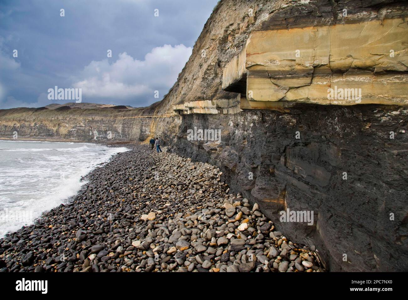 Kimmeridge cliffs with fossils exposed by winter storms, Kimmeridge ...