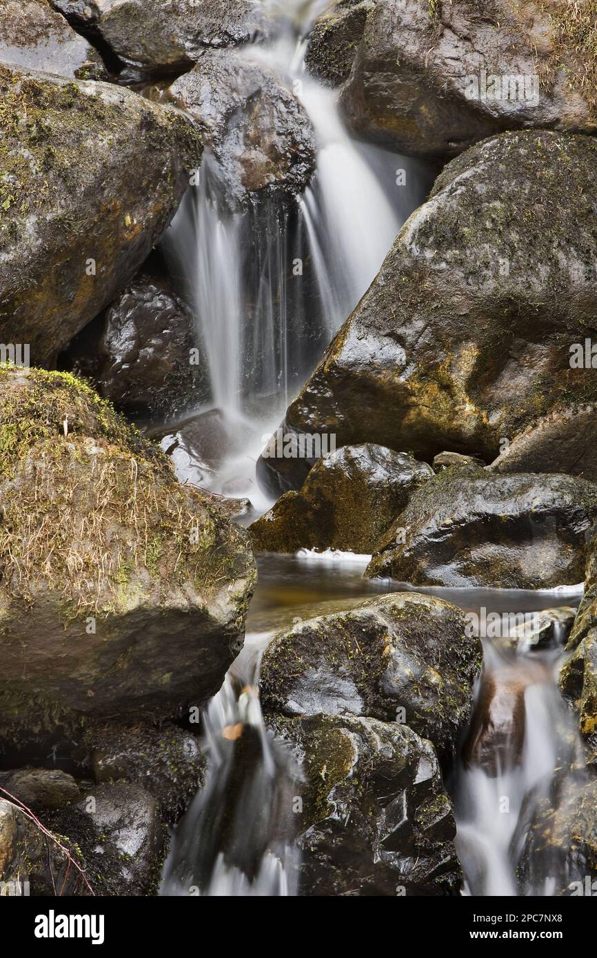Small waterfall amongst rocks in upland stream, Lake District N. P ...