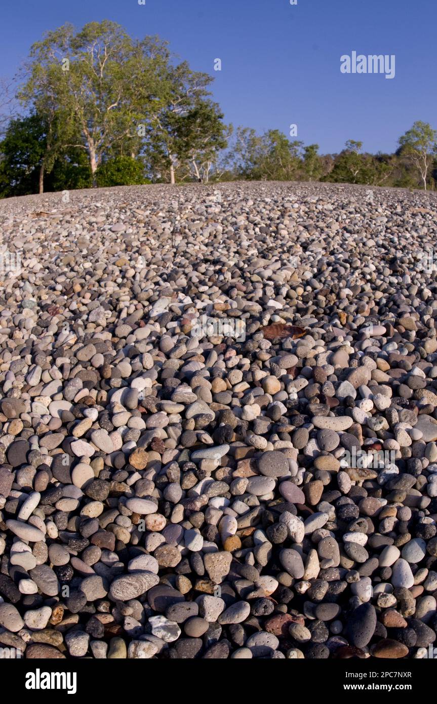 Pebble beach with trees in the background, near Uhak village, North ...