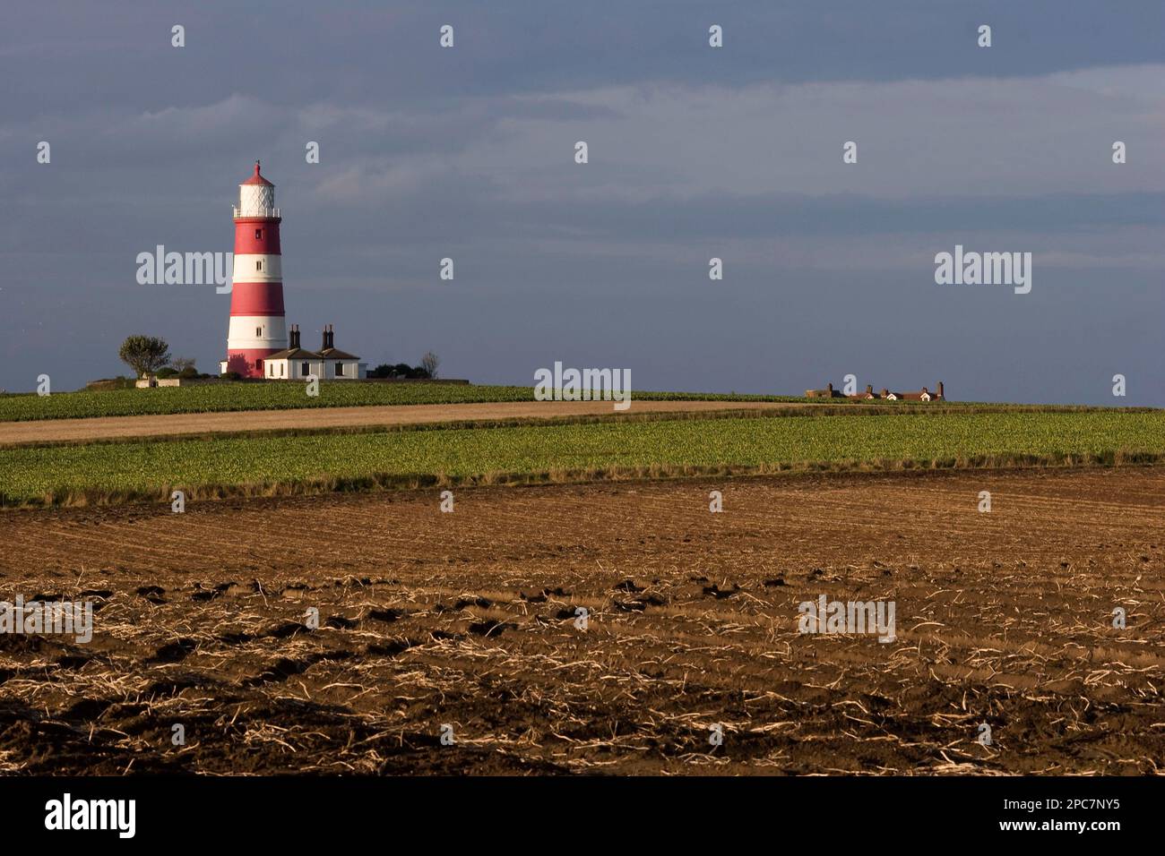 View across fields towards lighthouse, Happisburgh Lighthouse ...