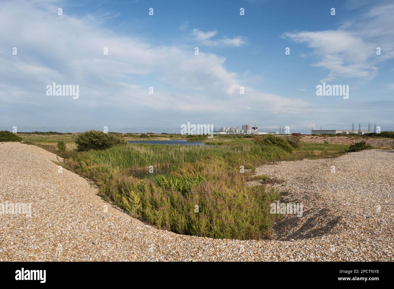 View of shingle ledge habitat with pond, nuclear power station in the ...