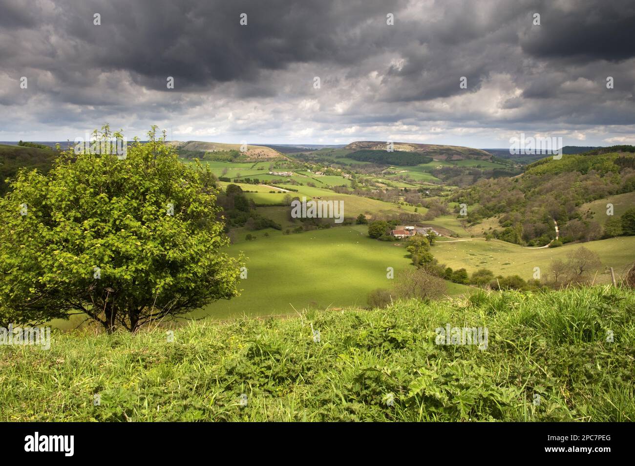British moors hi-res stock photography and images - Alamy