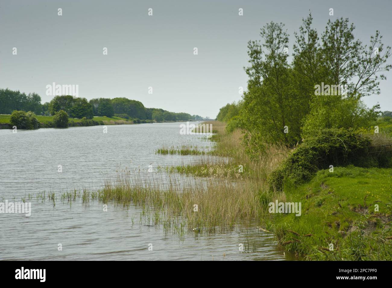 View of drainage canal, Huntspill River, Causeway, East Huntspill ...