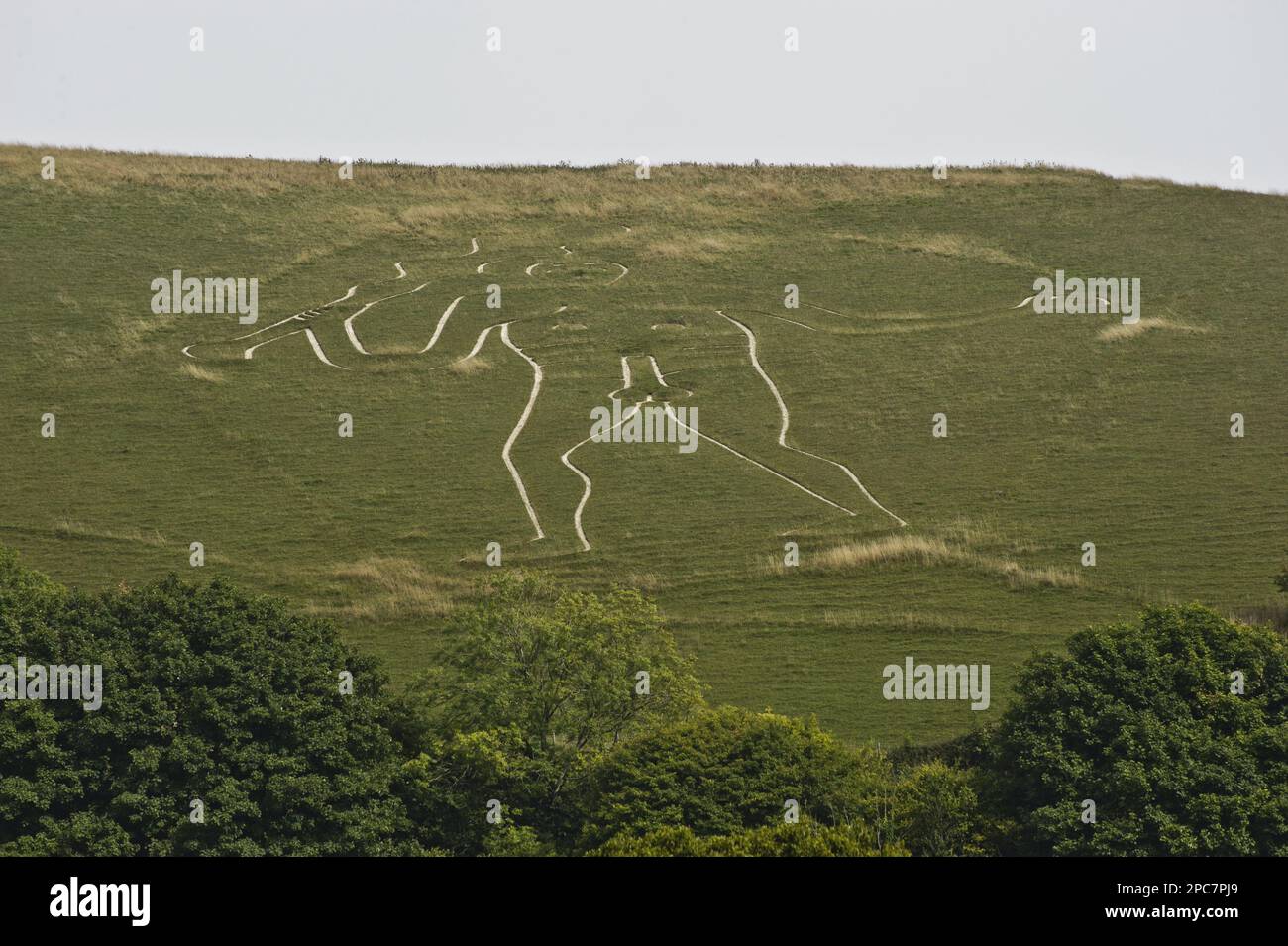 Cerne Abbas Giant chalk hill figure, Cerne Abbas, Dorset, England ...