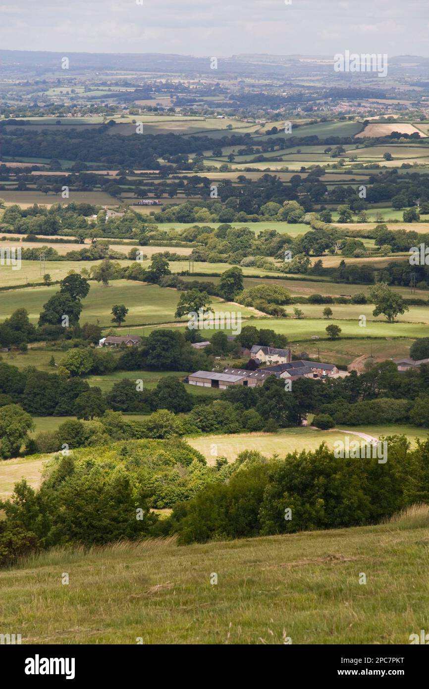 View of farmland, with farm buildings and pastures, North Dorset ...