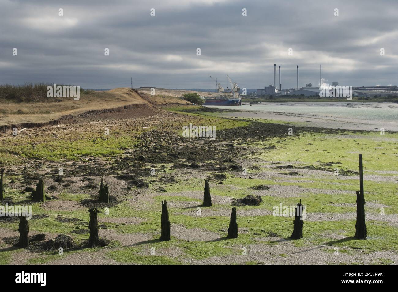 Estuary at low tide with mudflats and breakwaters, a paper mill in the ...