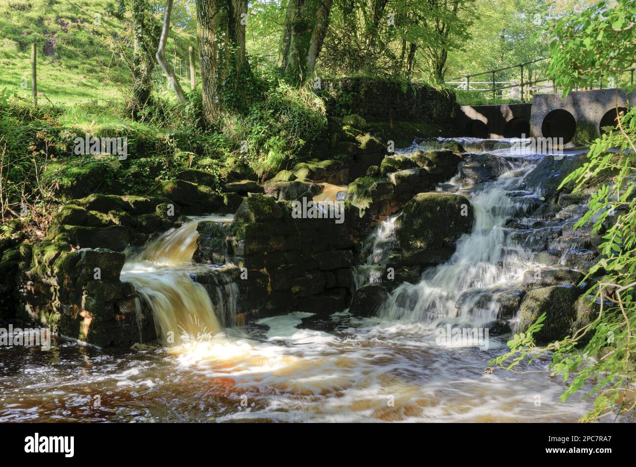 River Cascades and Salmon Ladder, Whitewell, Lancashire, England ...