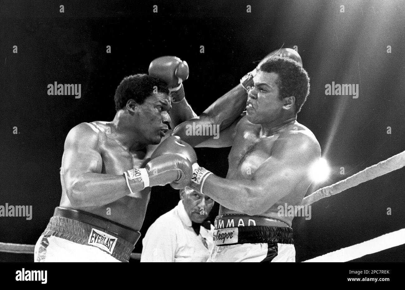 ** FILE ** Muhammad Ali, right, takes a punch fromTrevor Berbick,of ...