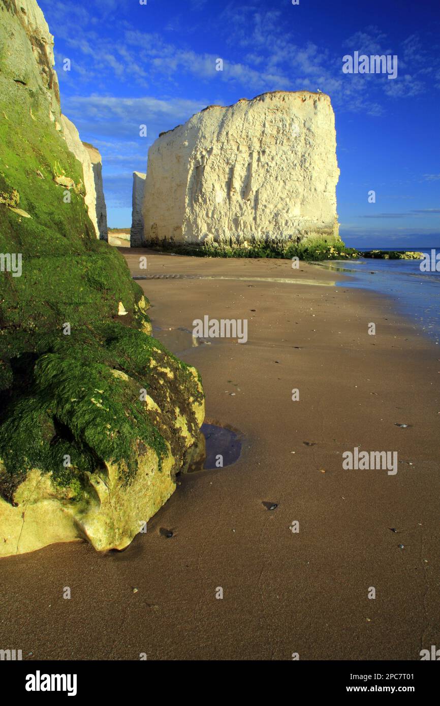 Botany bay kent hi-res stock photography and images - Alamy