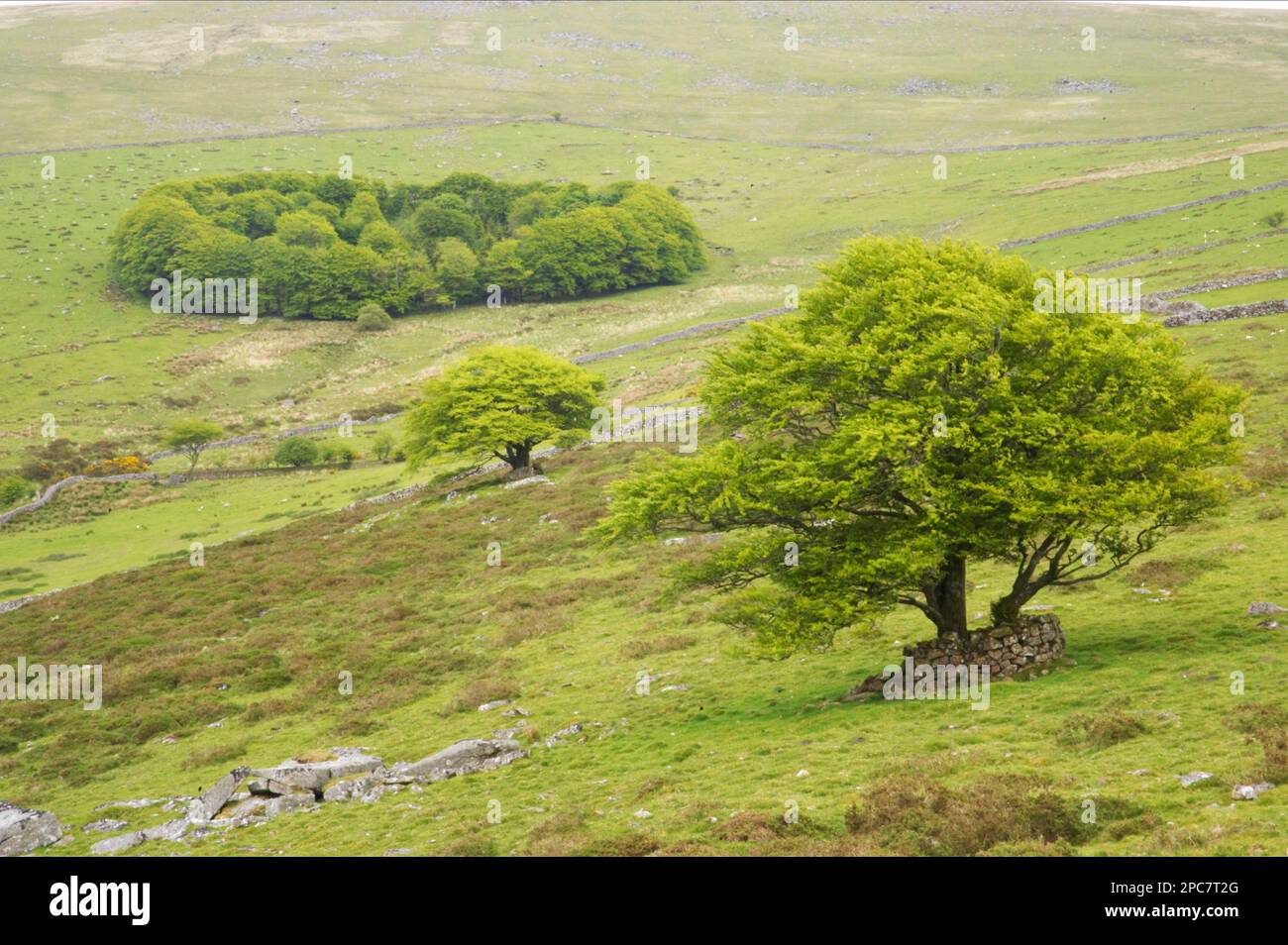 Natural england peatland hi-res stock photography and images - Alamy