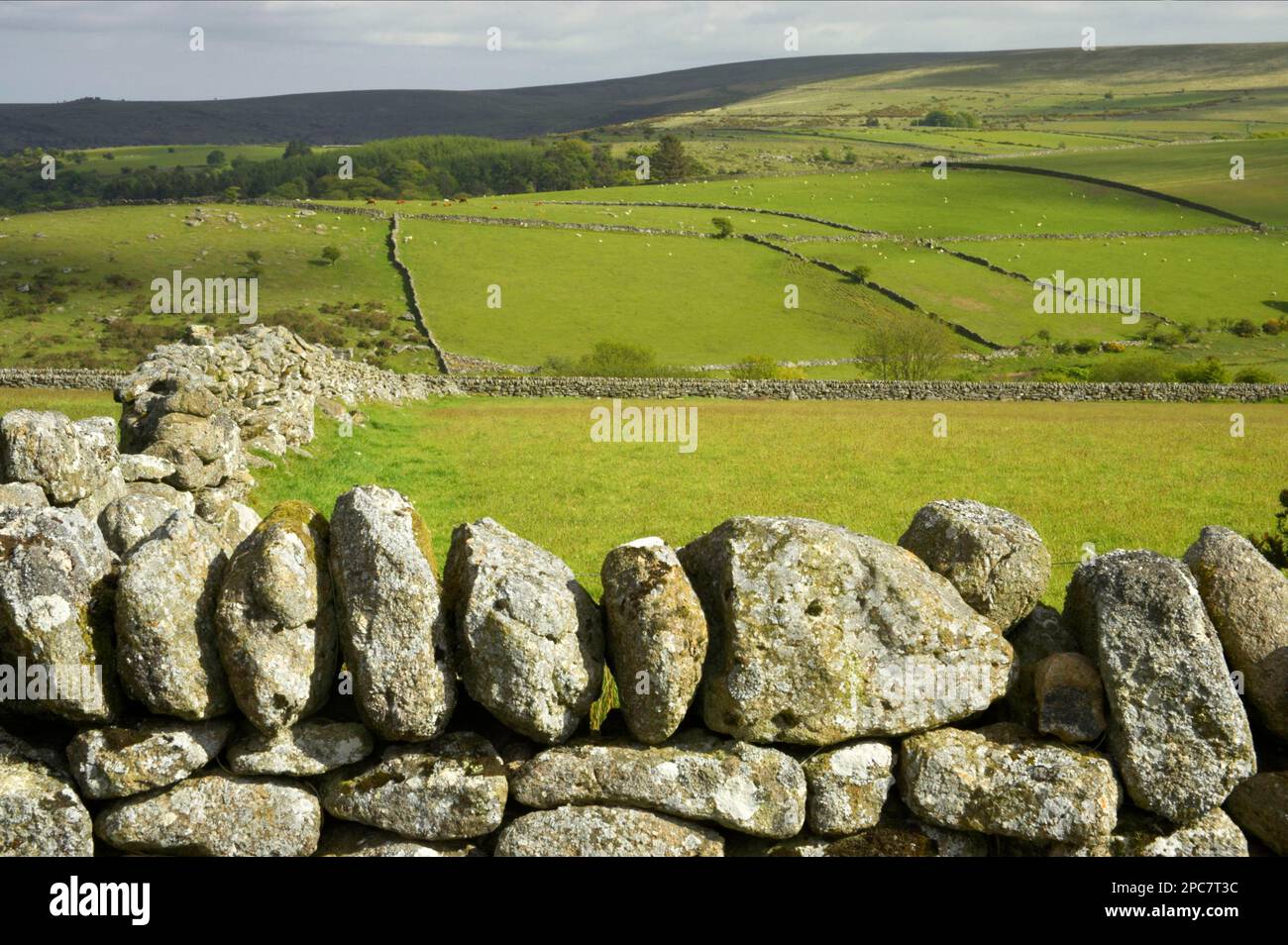 Dry stone walls and pasture in a fertile valley with hilltop moorland ...