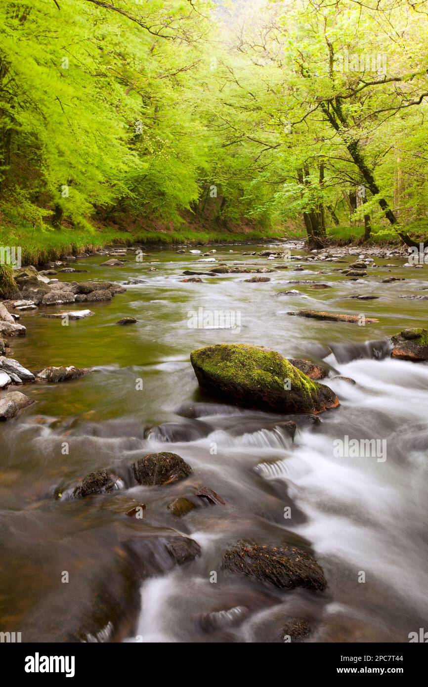 Bärl hi-res stock photography and images - Alamy