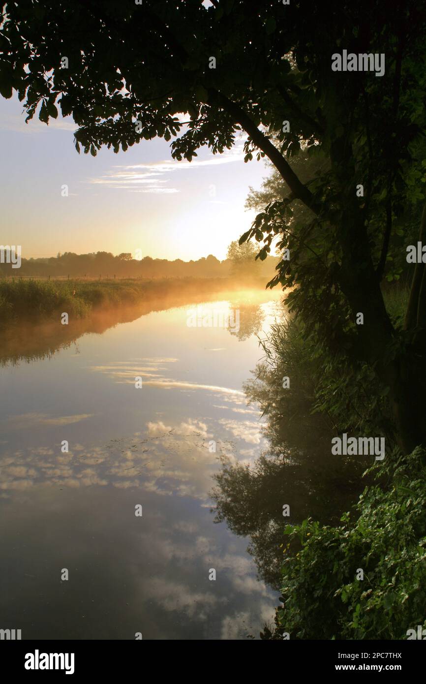 View of the river at sunrise, River Gipping, Bramford, Suffolk, England ...