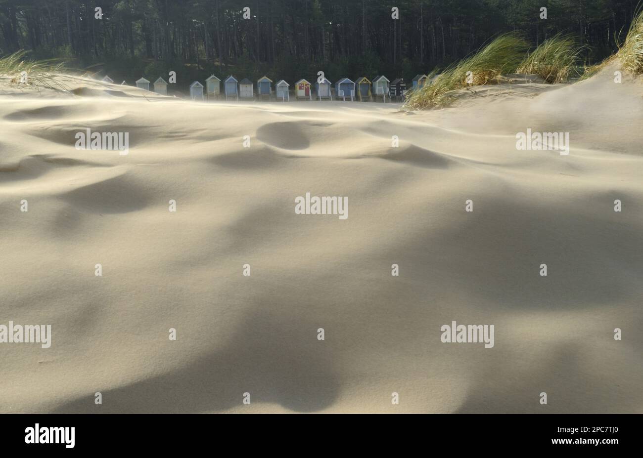 Sand dunes with windblown sand, beach huts in the background, between ...