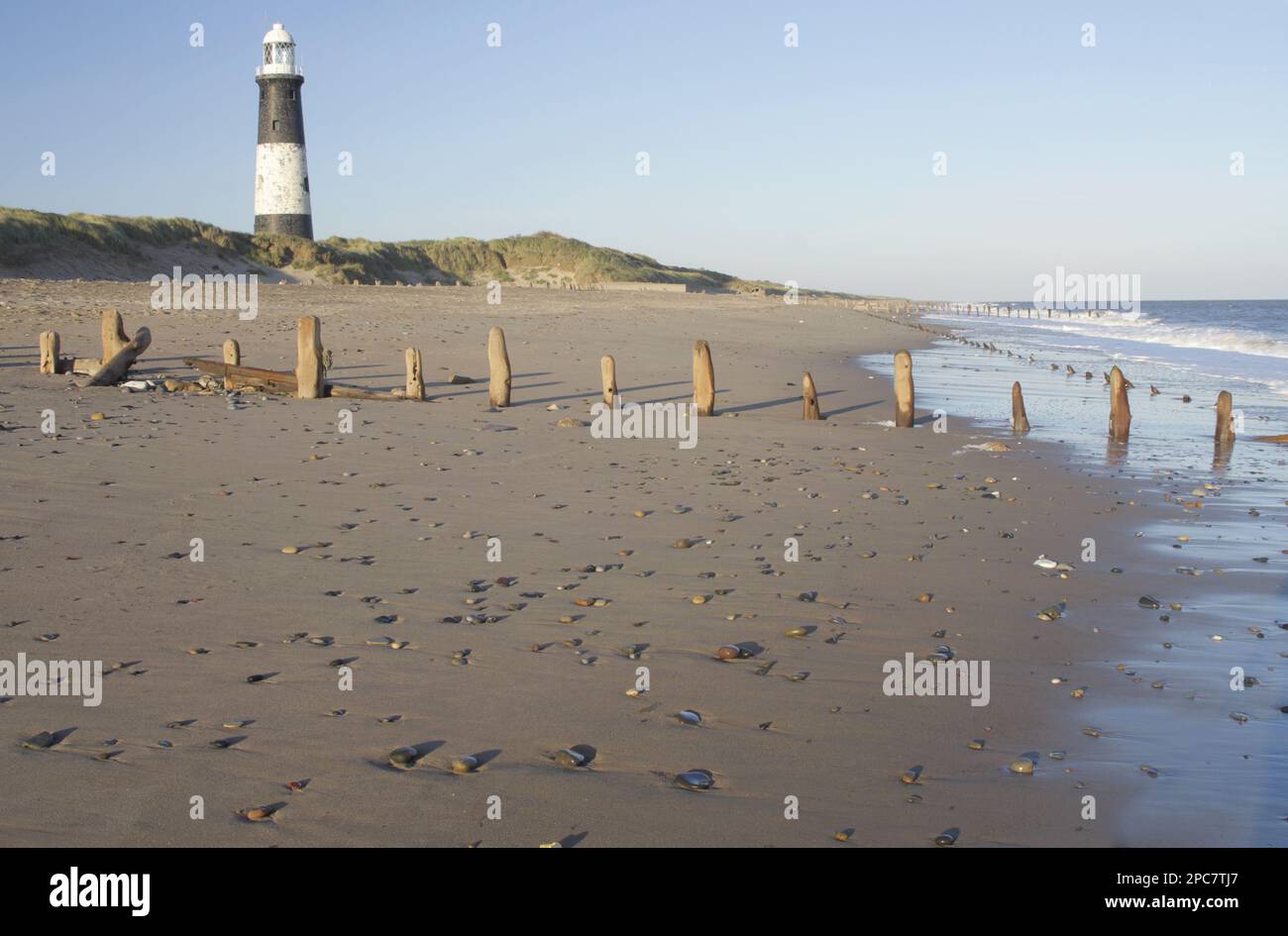 View of eroded groynes on the beach and lighthouse in the evening light ...