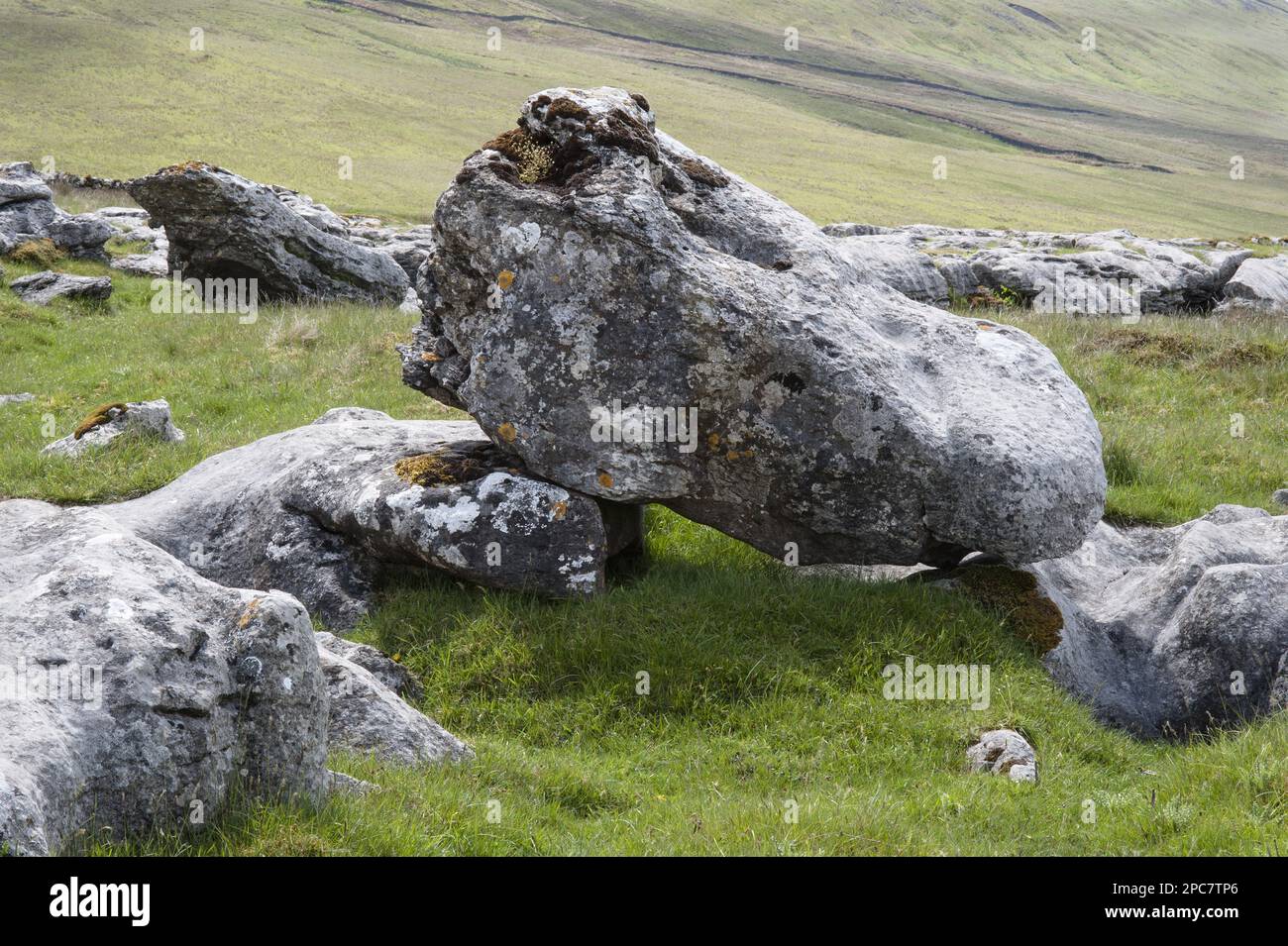 Ice Age boulders on limestone pavement, Ingleborough National Nature ...