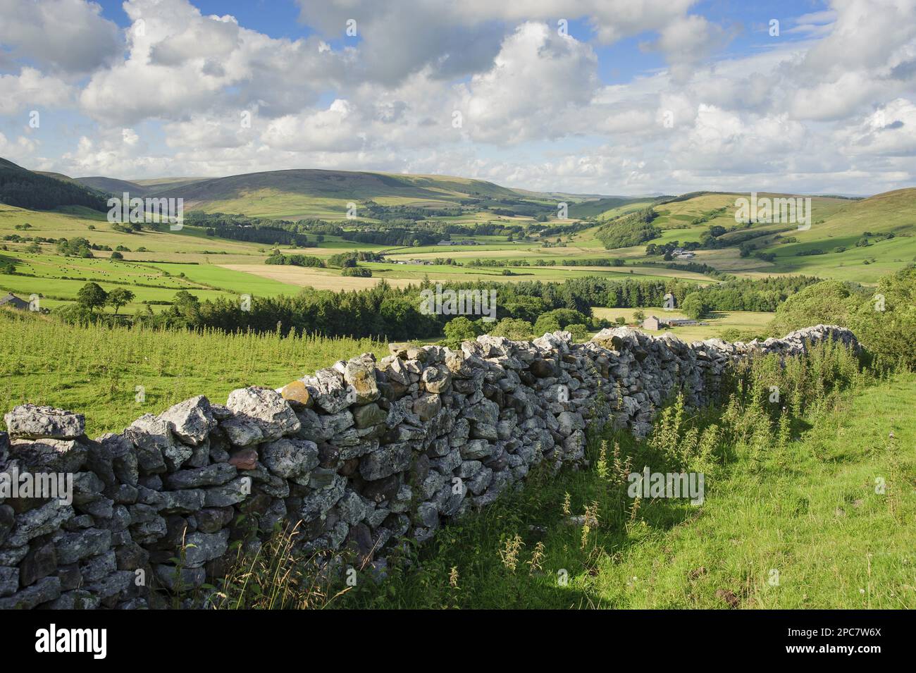 View of dry stone wall, farmland and upland habitat, Hodder Valley ...