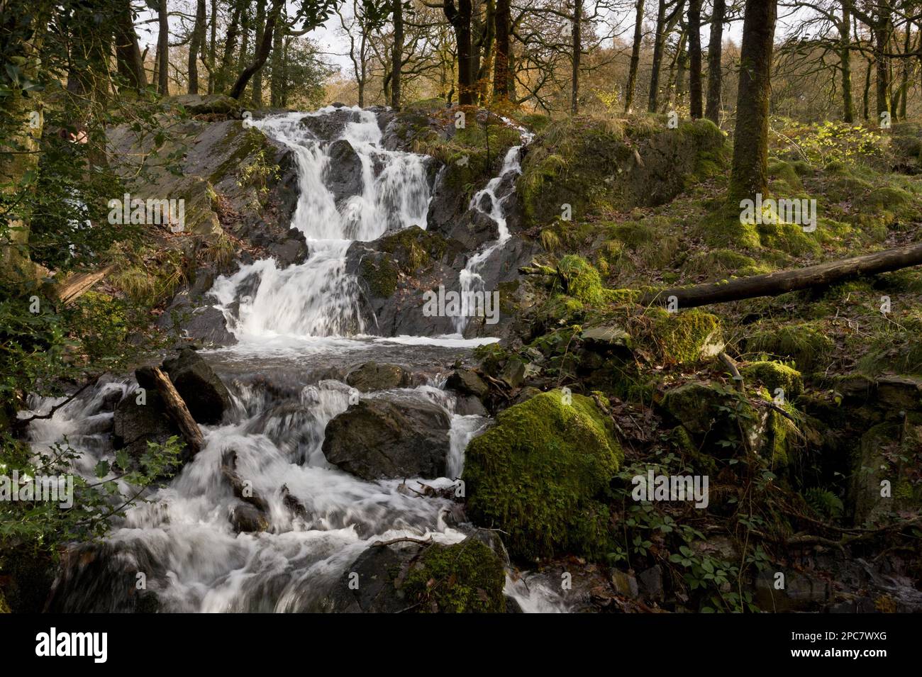 Cascades flowing over rocks in river, Tom Gill Beck, below Tarn Hows ...