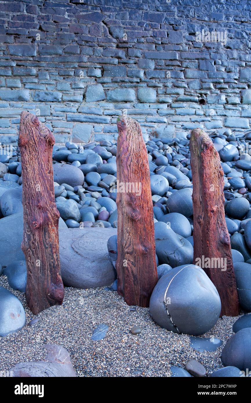 Remains of ancient sea defences emerge from pebbles and shingle in ...