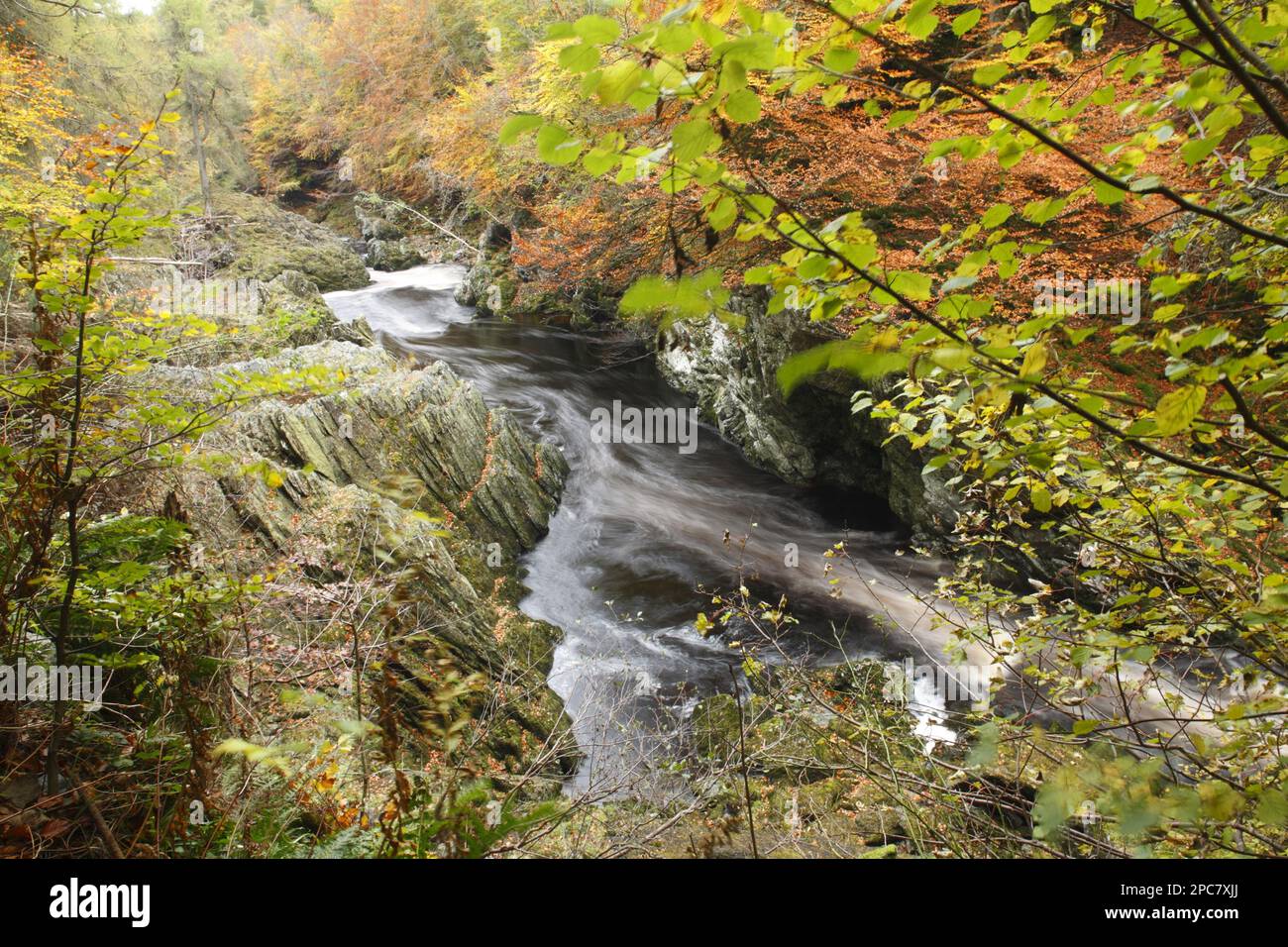 River flowing through wooded gorge habitat, Rocks of Solitude, River ...