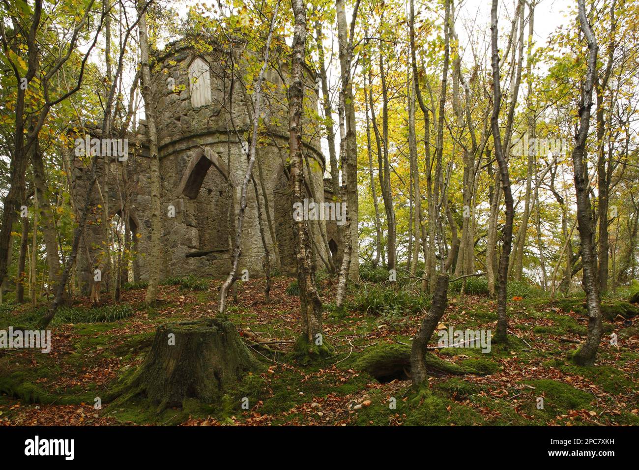 Stone-built folly in woodland habitat, The Burn, Glen Esk, near Edzell ...