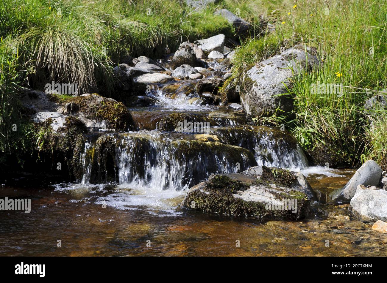 Cascades on small mountain burn, Allt na Croite, tributary of River ...