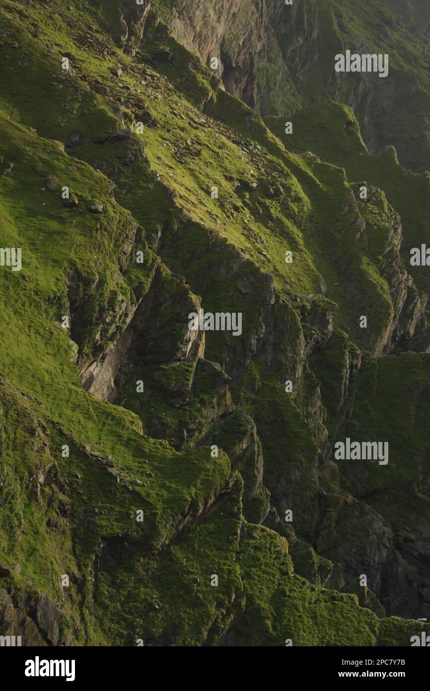 View of coastal cliff habitat, Hermaness, Unst, Shetland Islands ...