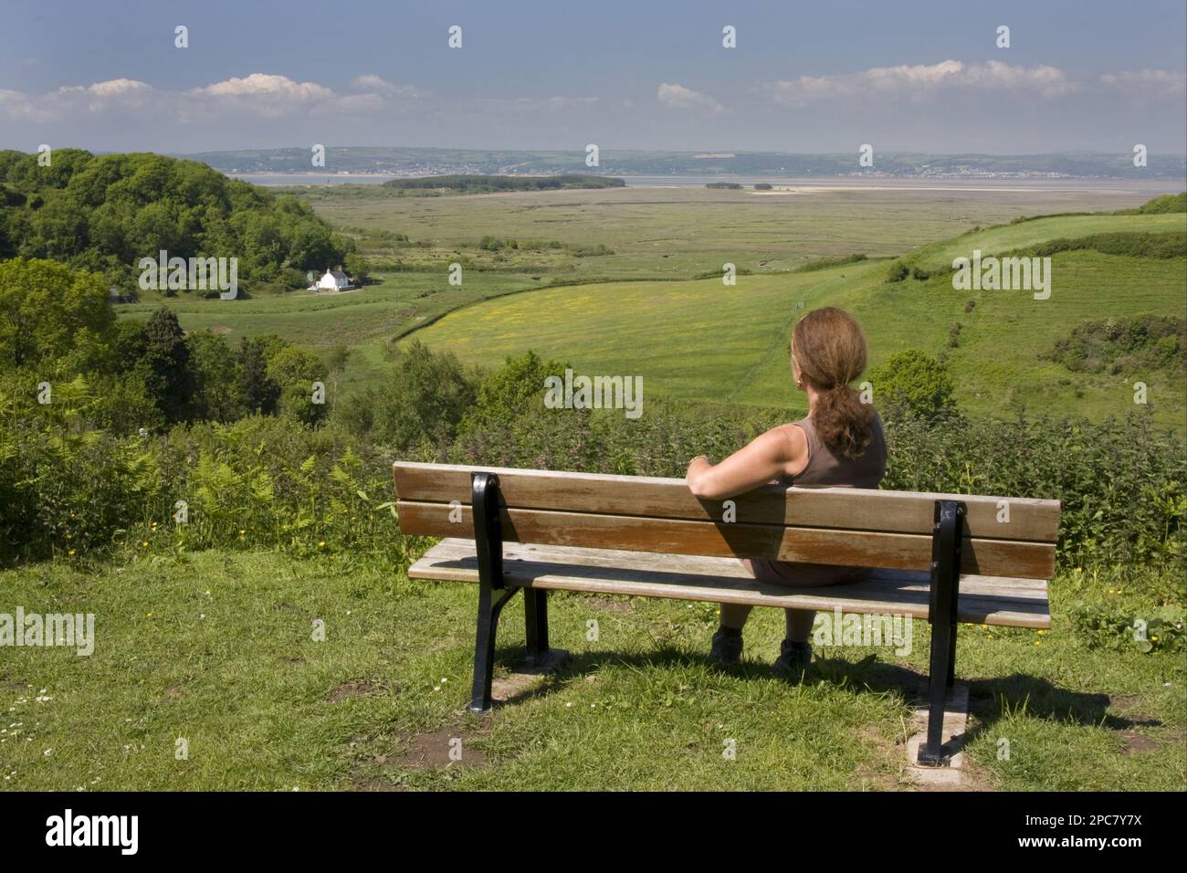 Woman sitting on bench overlooking the coast, Llanmadoc, Llanridian ...