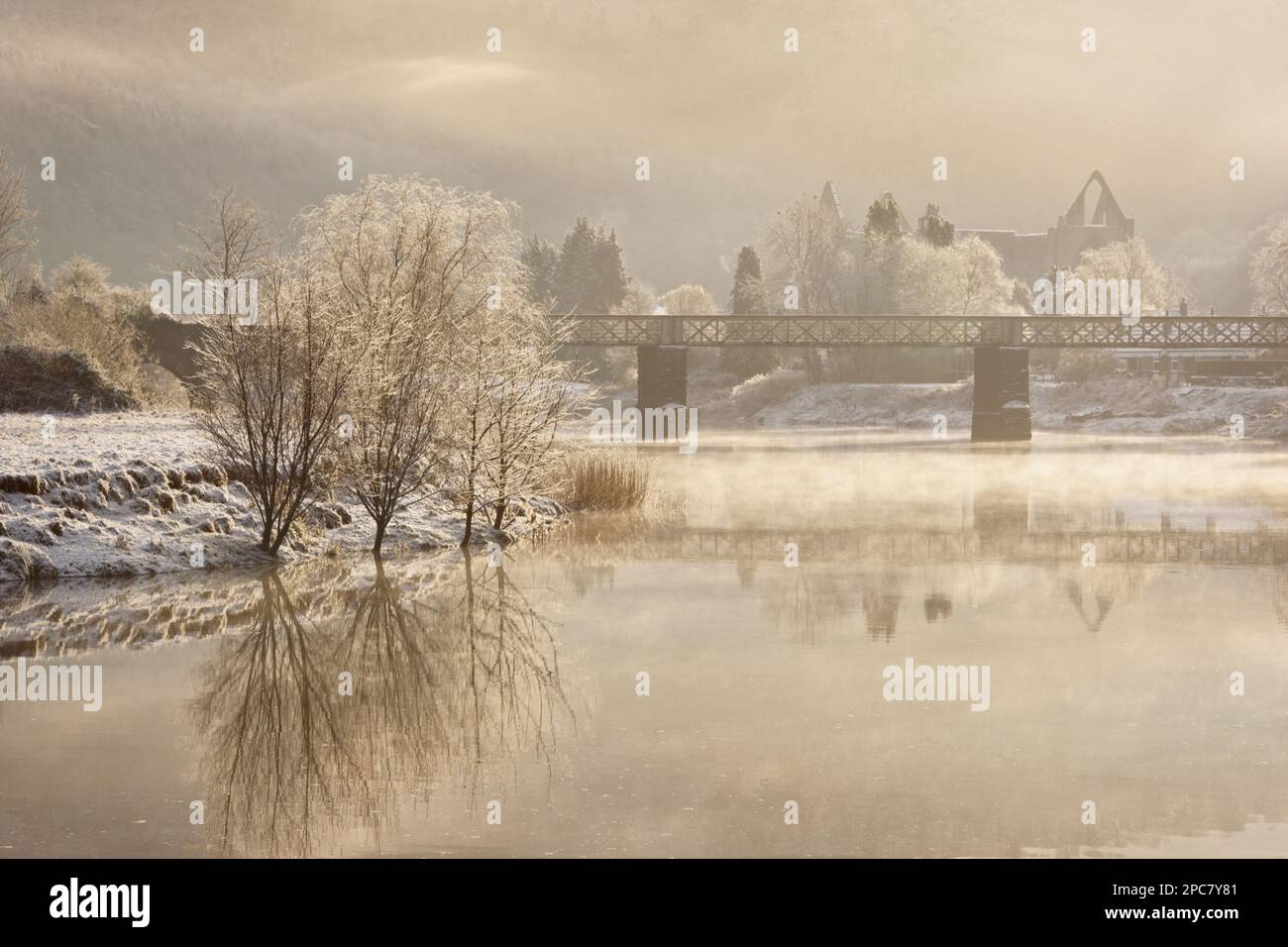 View of a river with frost and mist at dawn, Tintern Abbey, River Wye ...