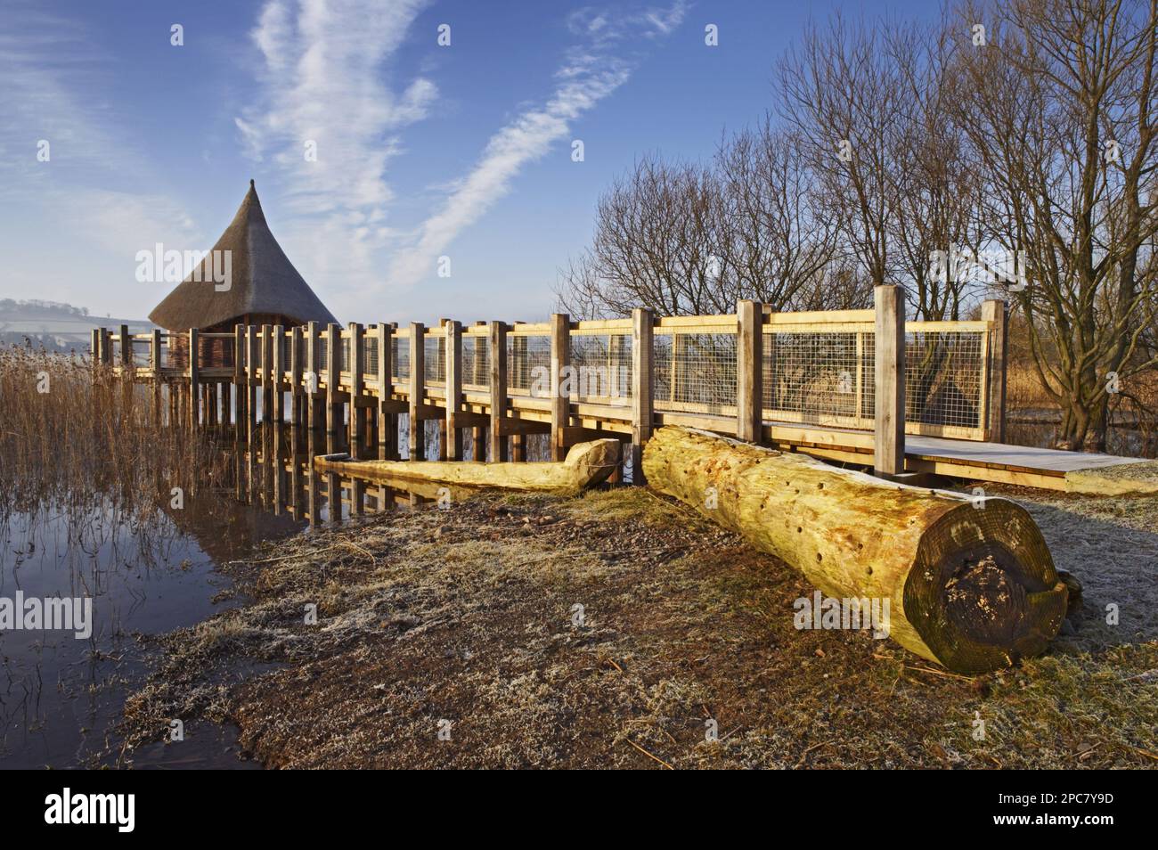 Log boat iron age hi-res stock photography and images - Alamy