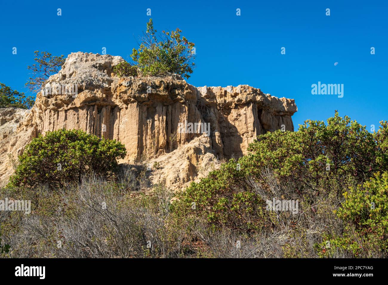 Fort Ord National Monument, California Stock Photo - Alamy