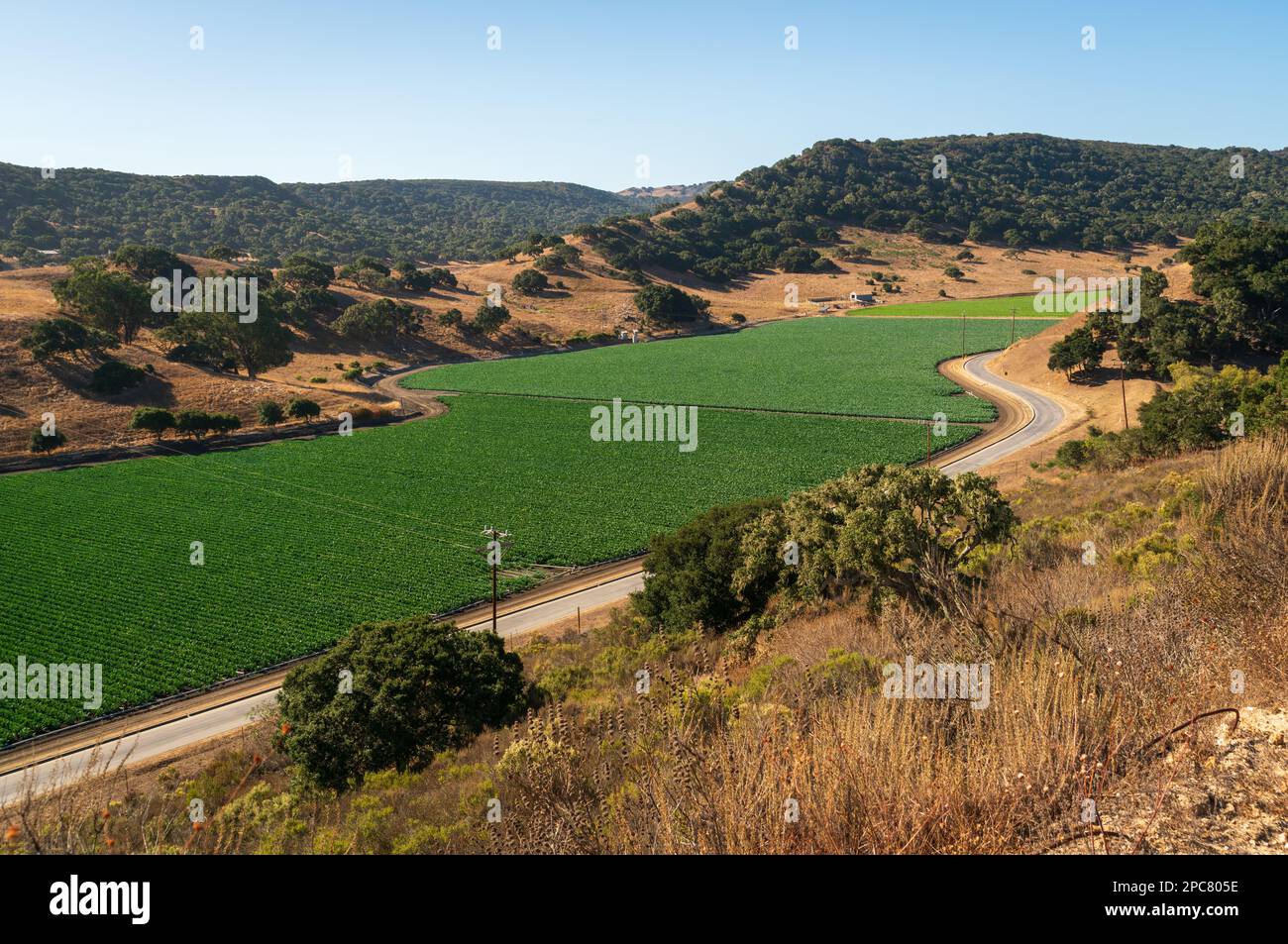 Fort Ord National Monument, California Stock Photo - Alamy