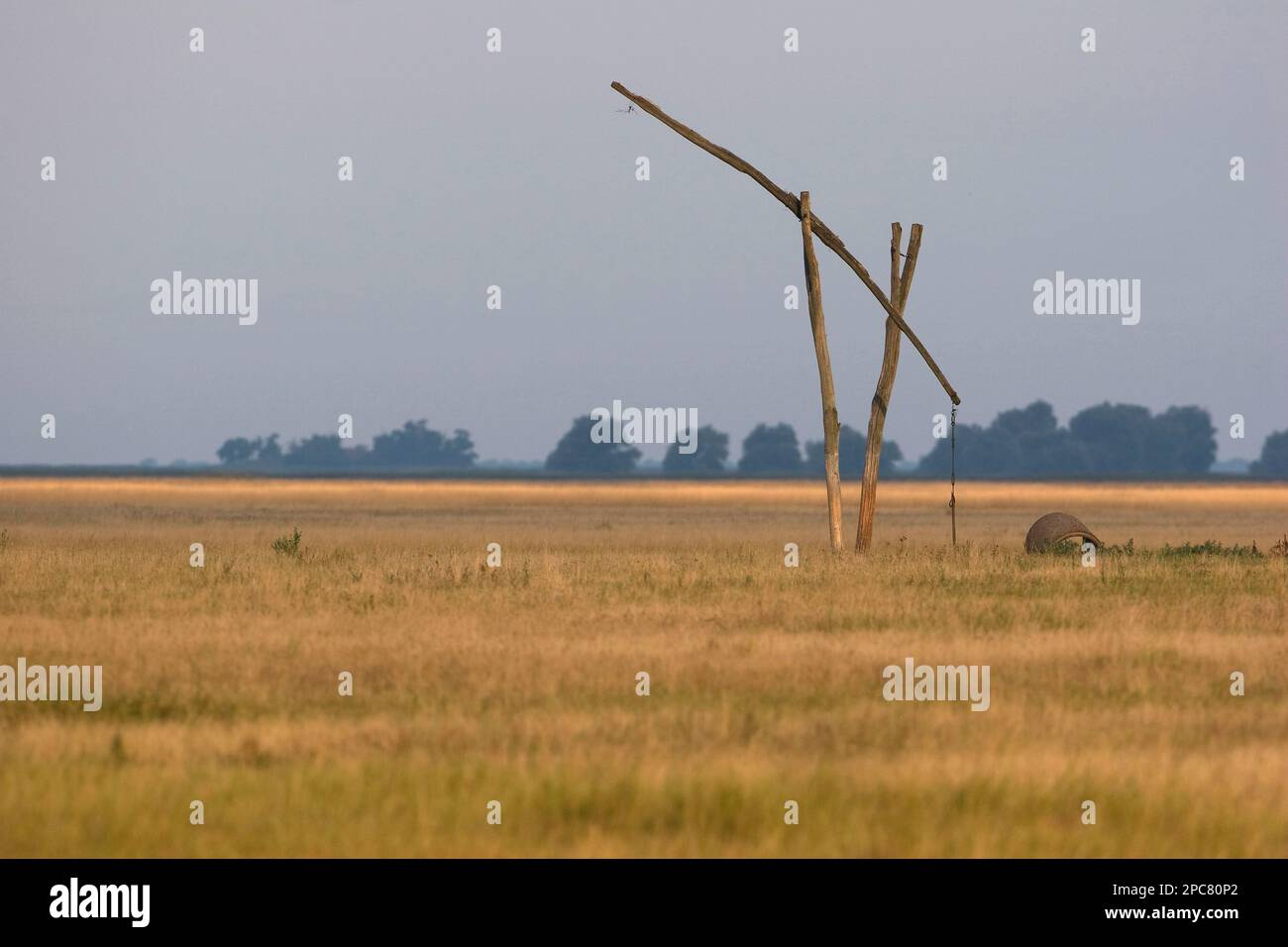 View of Puszta grassland habitat with traditional well, Hortobagy N. P ...