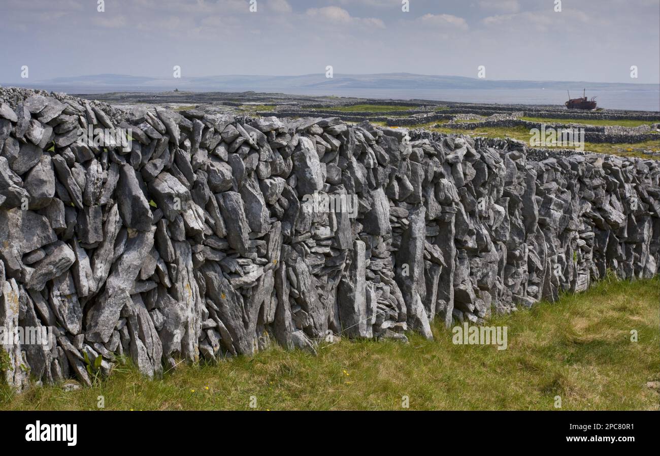 Old limestone drystone wall with small fields, wreck of the Plassey in ...