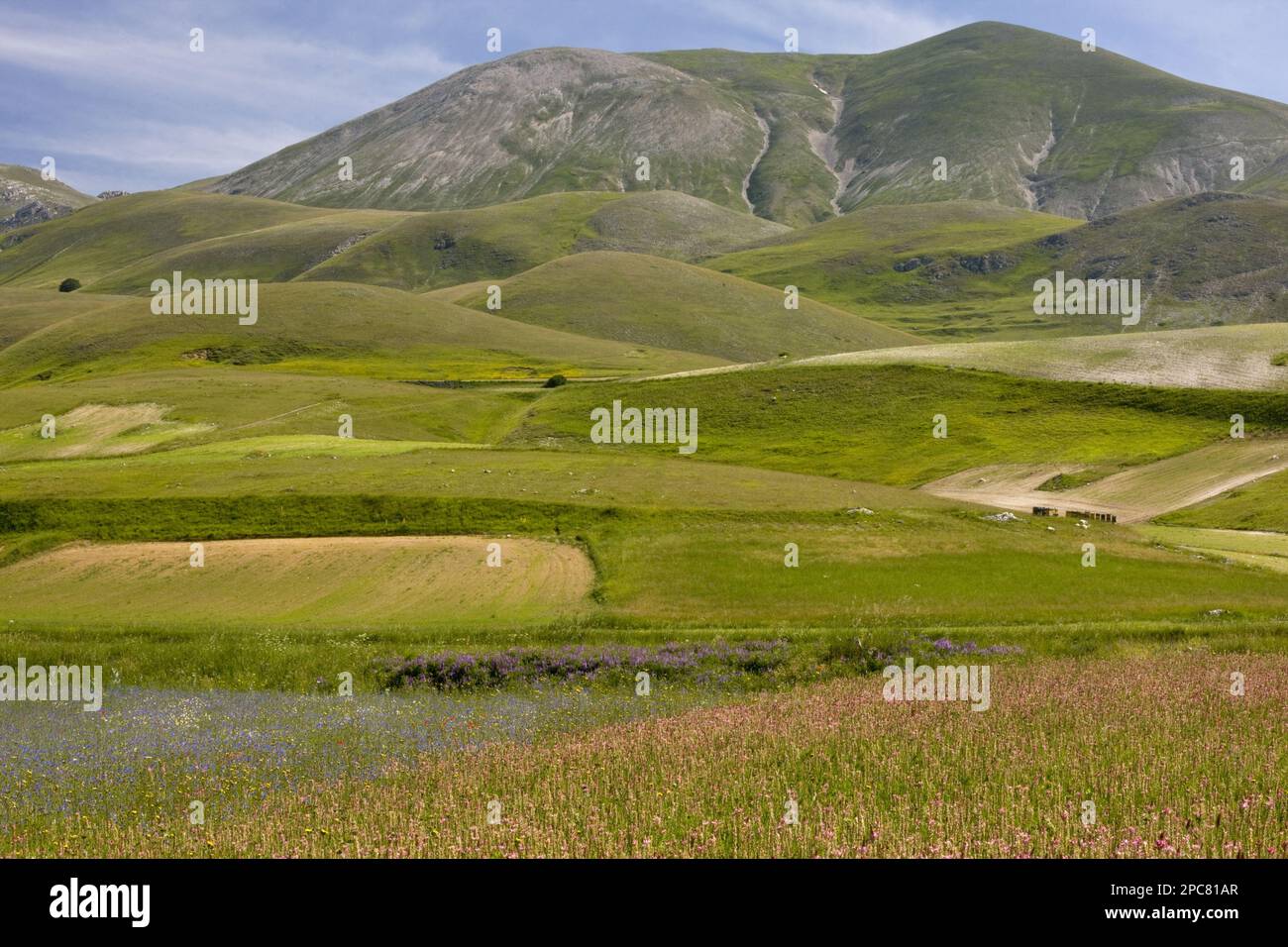 Flowery farmyard hi-res stock photography and images - Alamy
