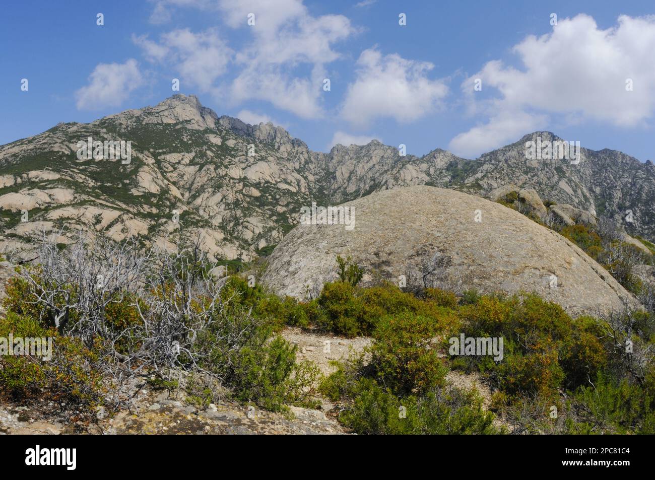 View of the granite mountain habitat on the coast, Montecristo Island ...