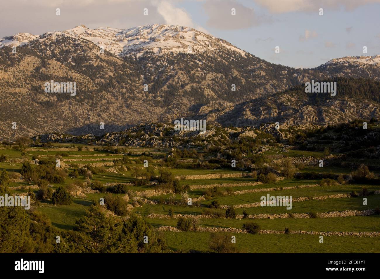 View of old field patterns and dry stone walls in the evening, Cimikoy ...