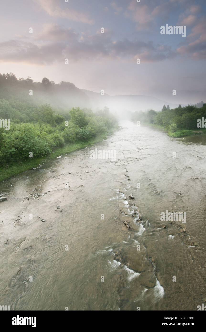 View of river and forest at sunrise, River San, Bieszczady N. P ...