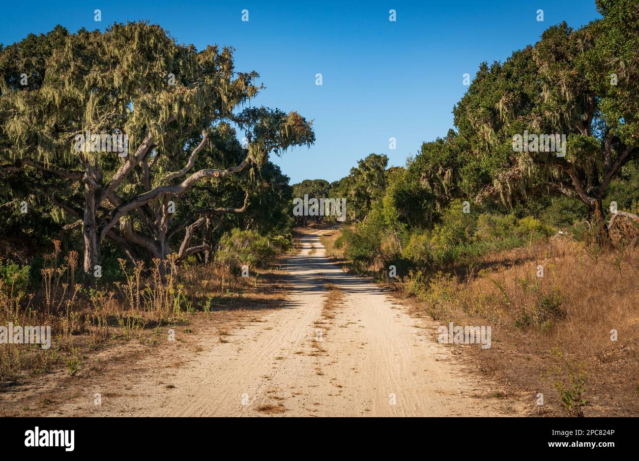Fort Ord National Monument, California Stock Photo - Alamy