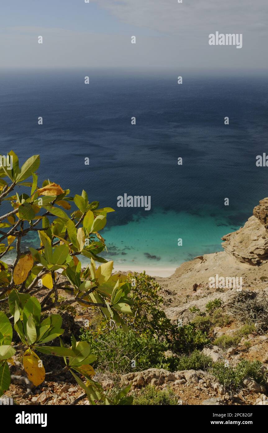 View of sea from southern coast clifftop habitat, Socotra, Yemen Stock ...