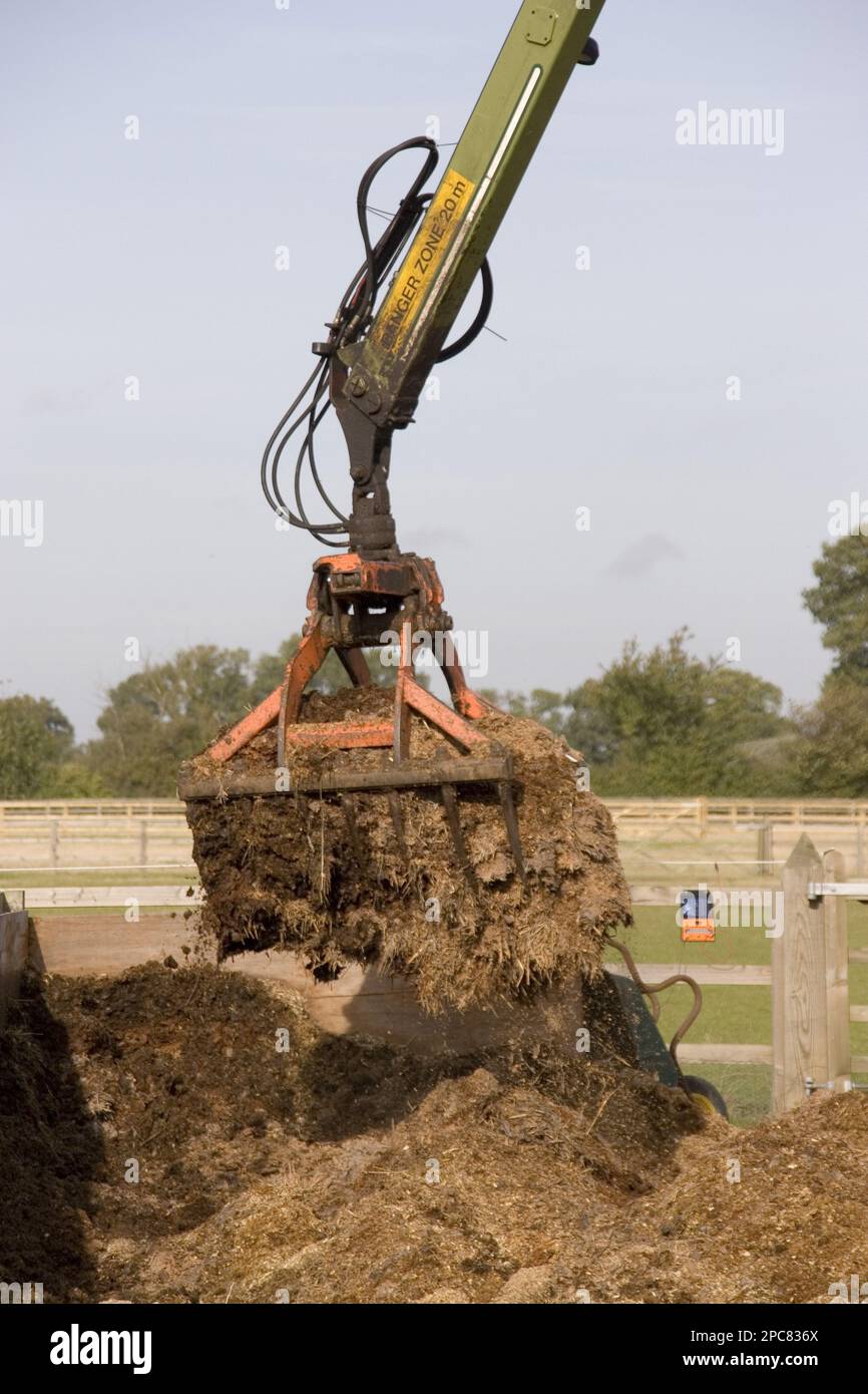 Removal of horse manure from the stable yard Stock Photo - Alamy
